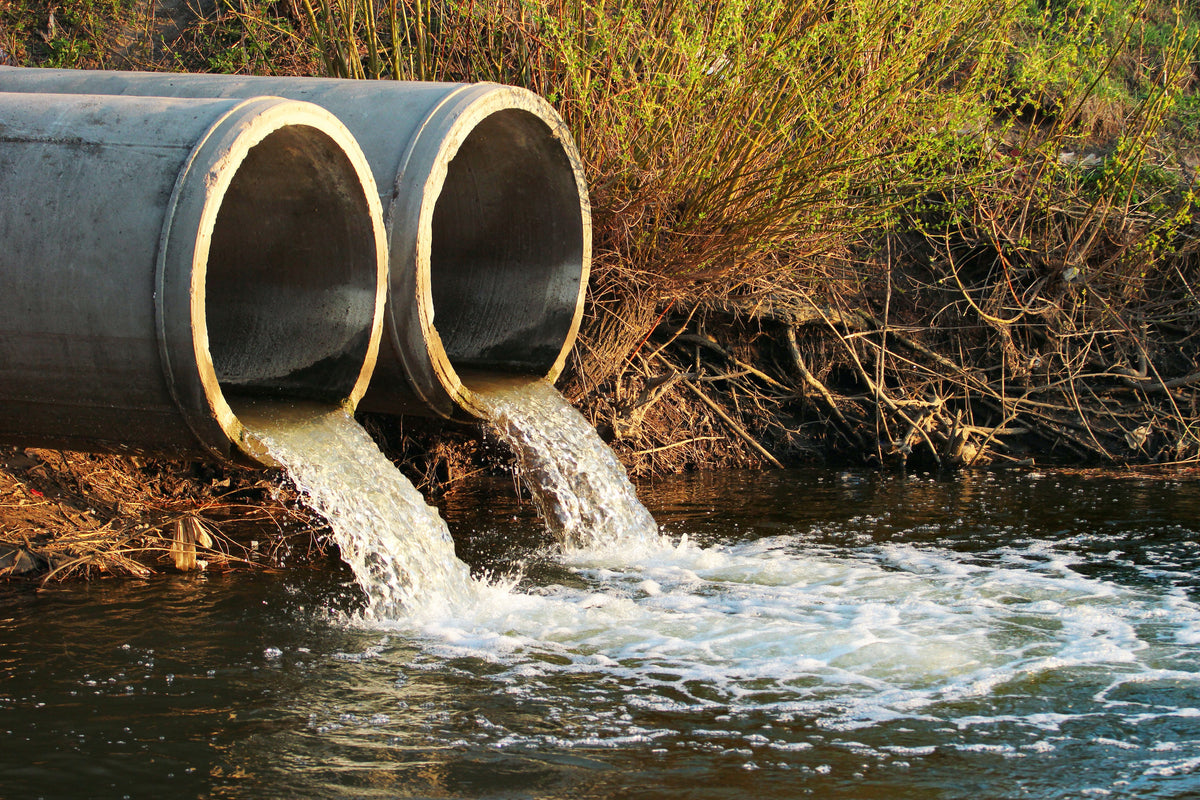 PFAs: The Forever Chemicals in Our Water - Risks & Solutions